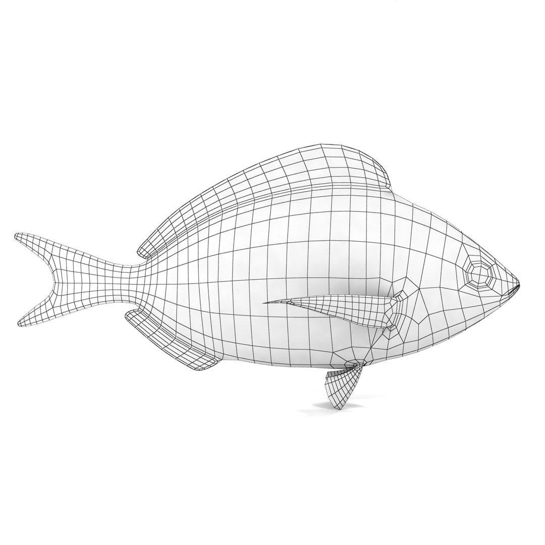Bream Sea Fish 3d Model