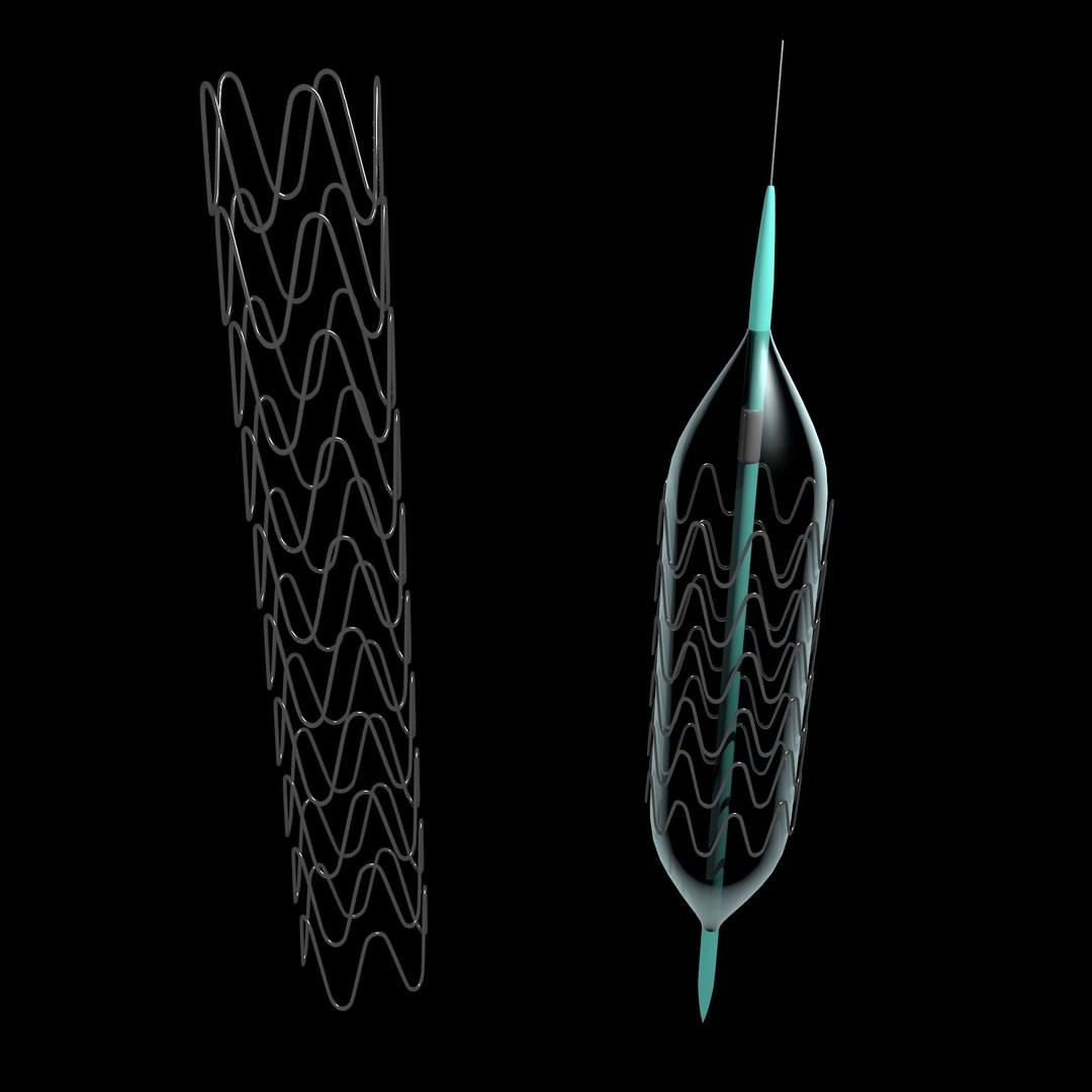 Stent Balloon 3d 3ds