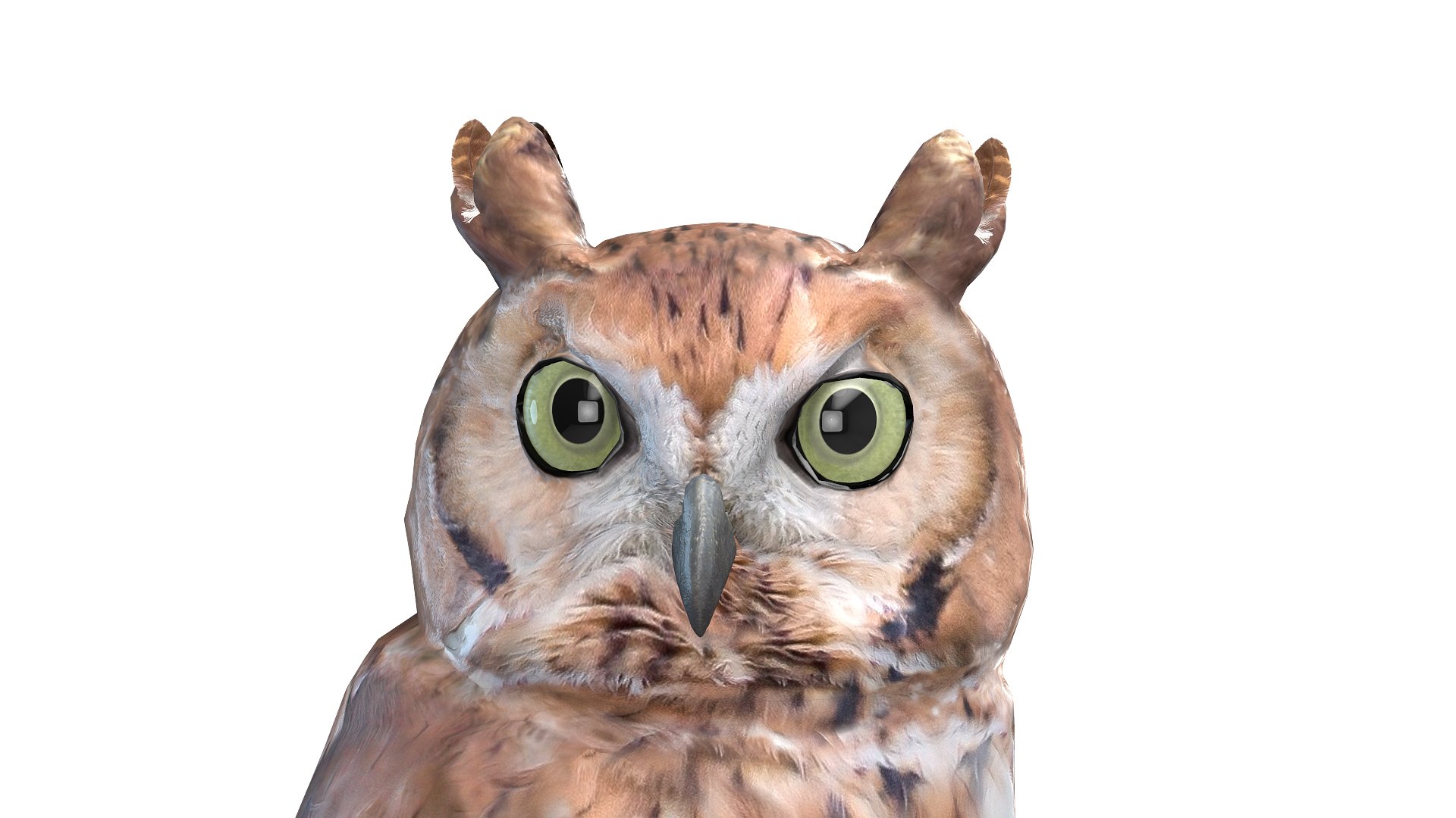 Eastern Screech Owl Model - TurboSquid 1608854