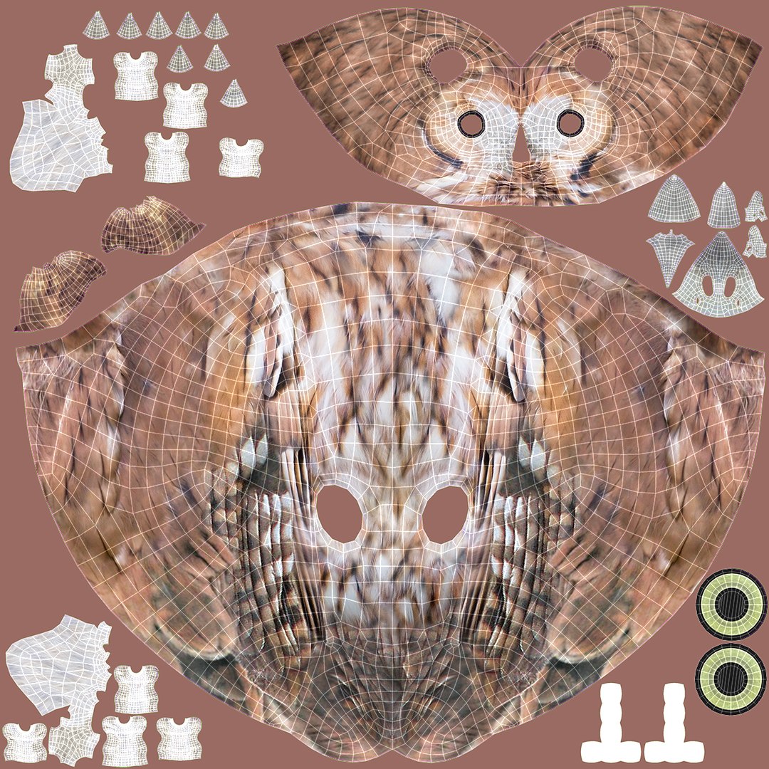 Eastern Screech Owl Model - TurboSquid 1608854