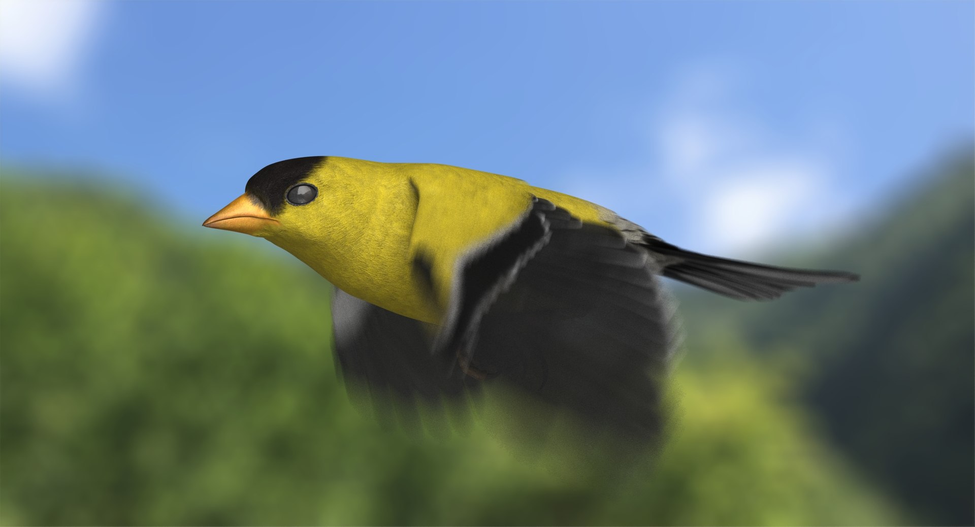 3D American Goldfinch Animation 2 - TurboSquid 1386915
