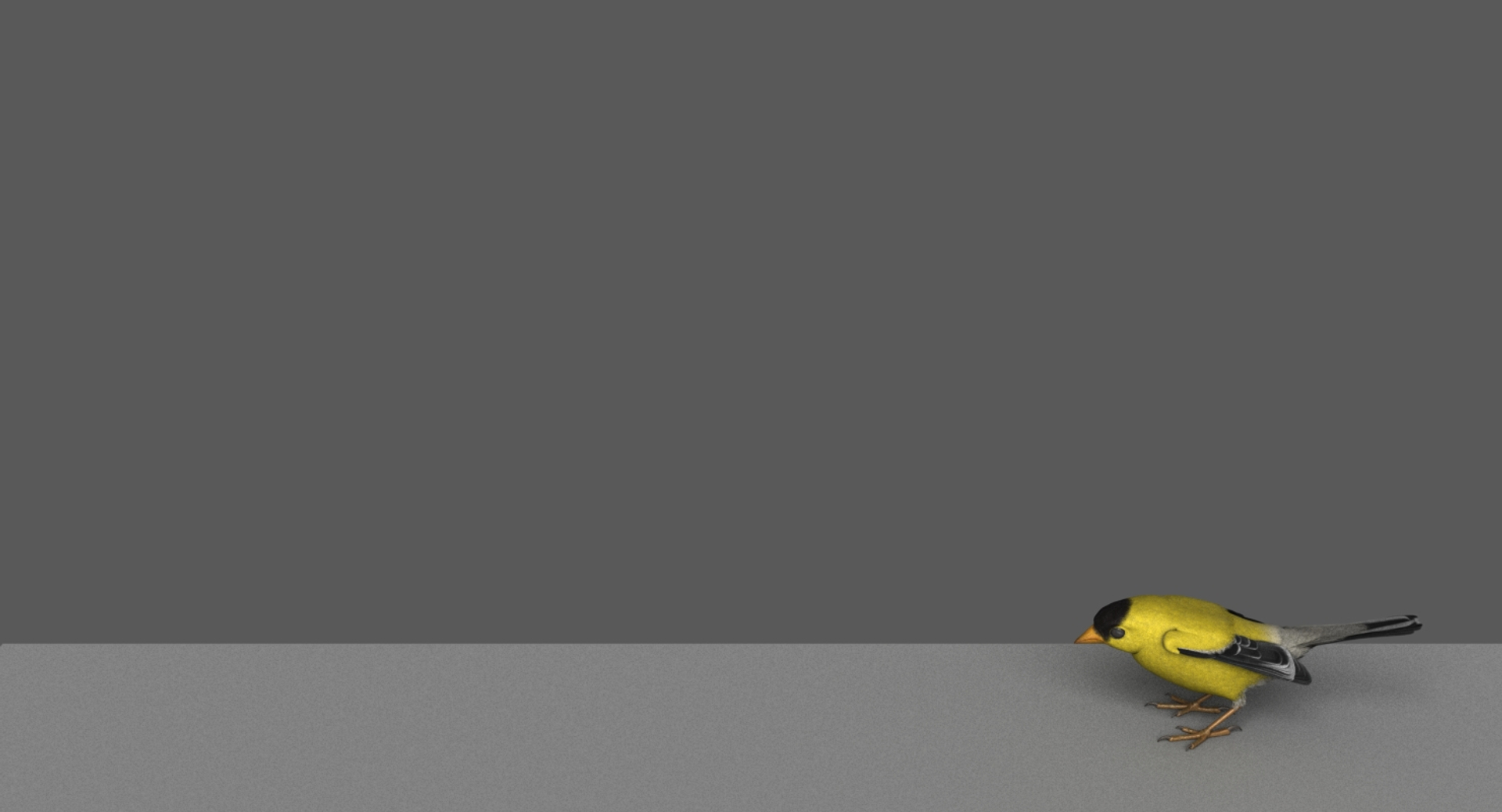 3D American Goldfinch Animation 2 - TurboSquid 1386915