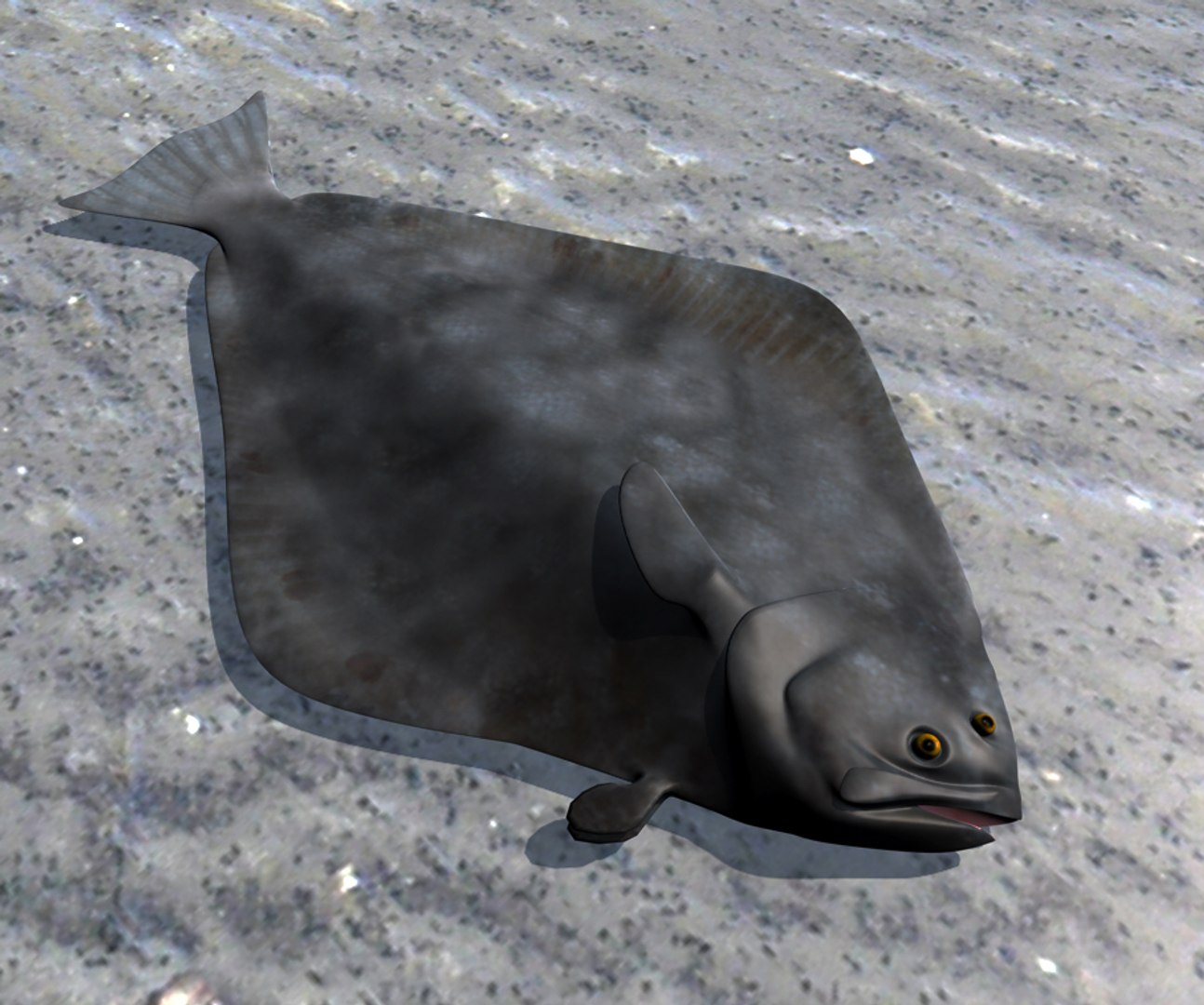 Atlantic Halibut 3d Model