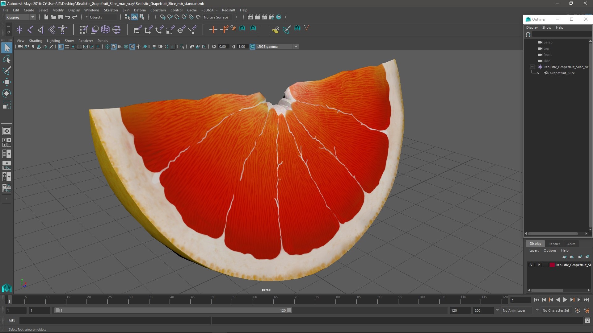 Realistic Grapefruit Slice 3D - TurboSquid 2201986