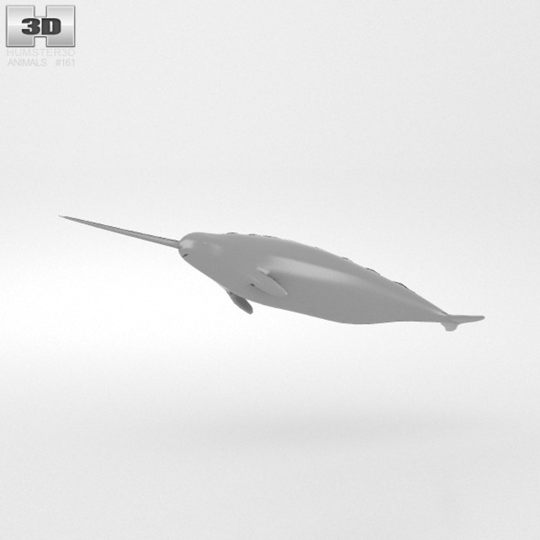 narwhal 3ds