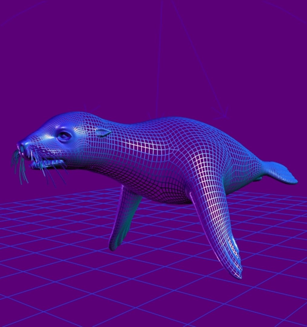 Seal 3d Obj