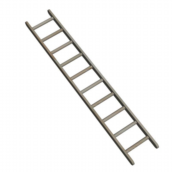 ladders 3d max