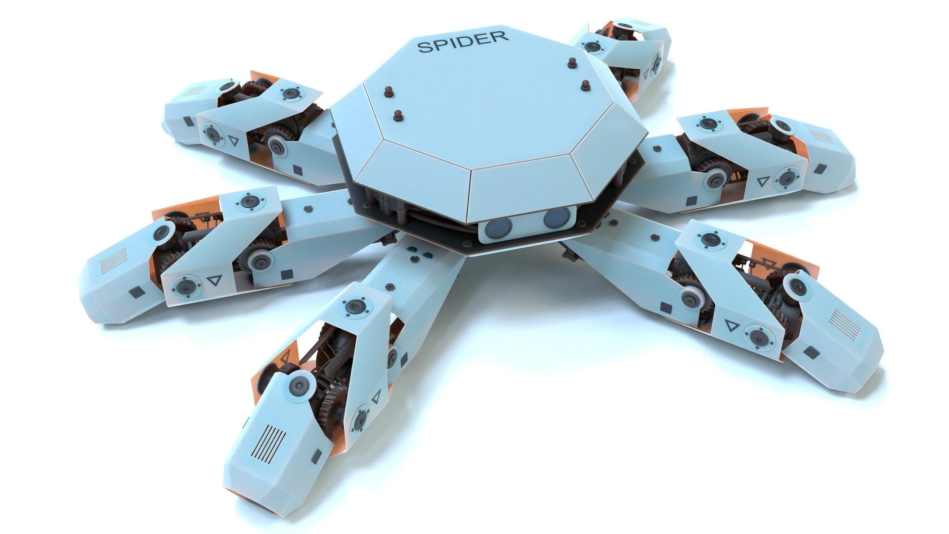 3D Spider Model - TurboSquid 2119681