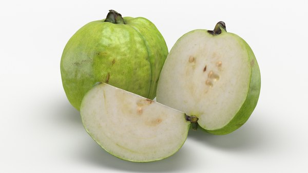 Guava Fruit 3D model - TurboSquid 1757068