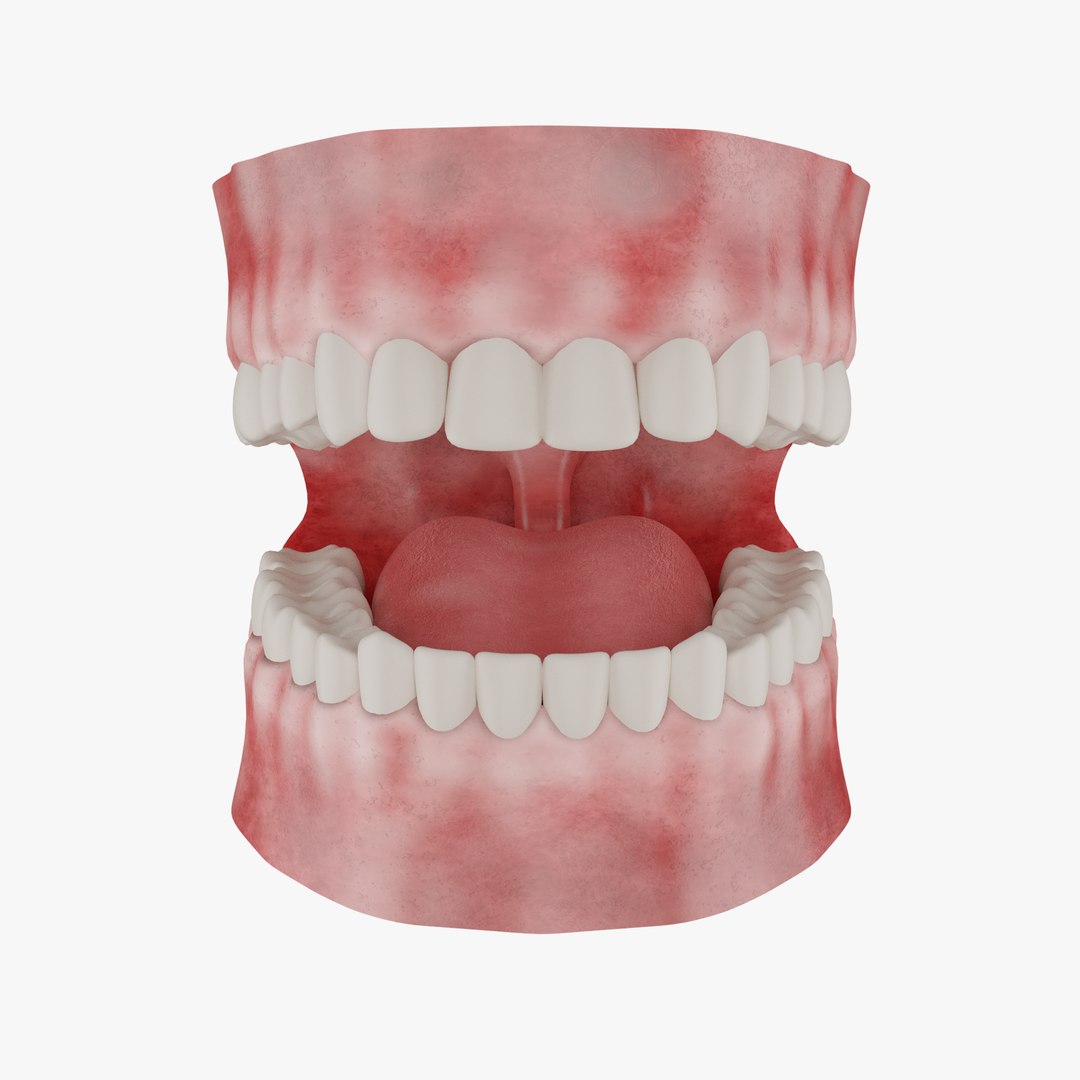 3D Teeth 3D Model Model - TurboSquid 2218717