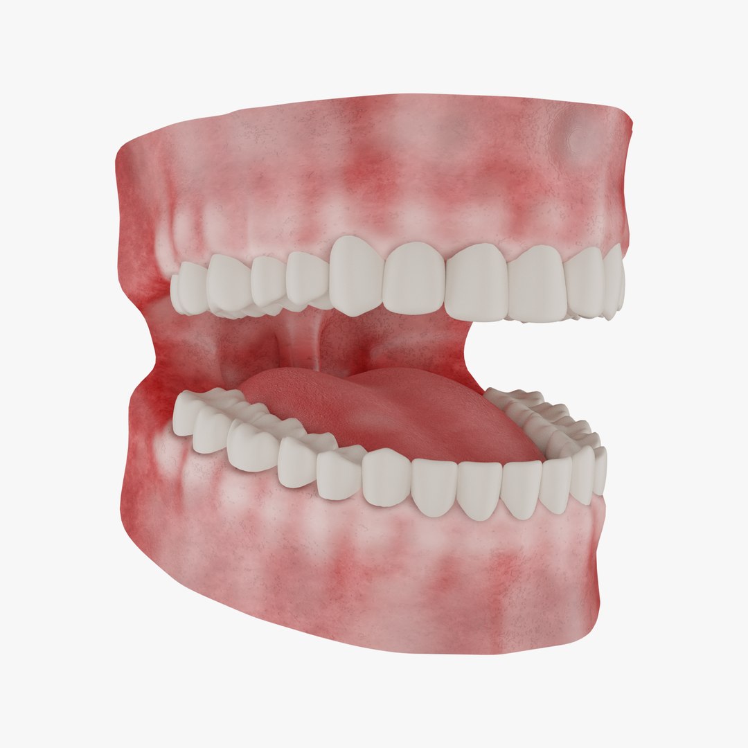 3D Teeth 3D Model Model - TurboSquid 2218717