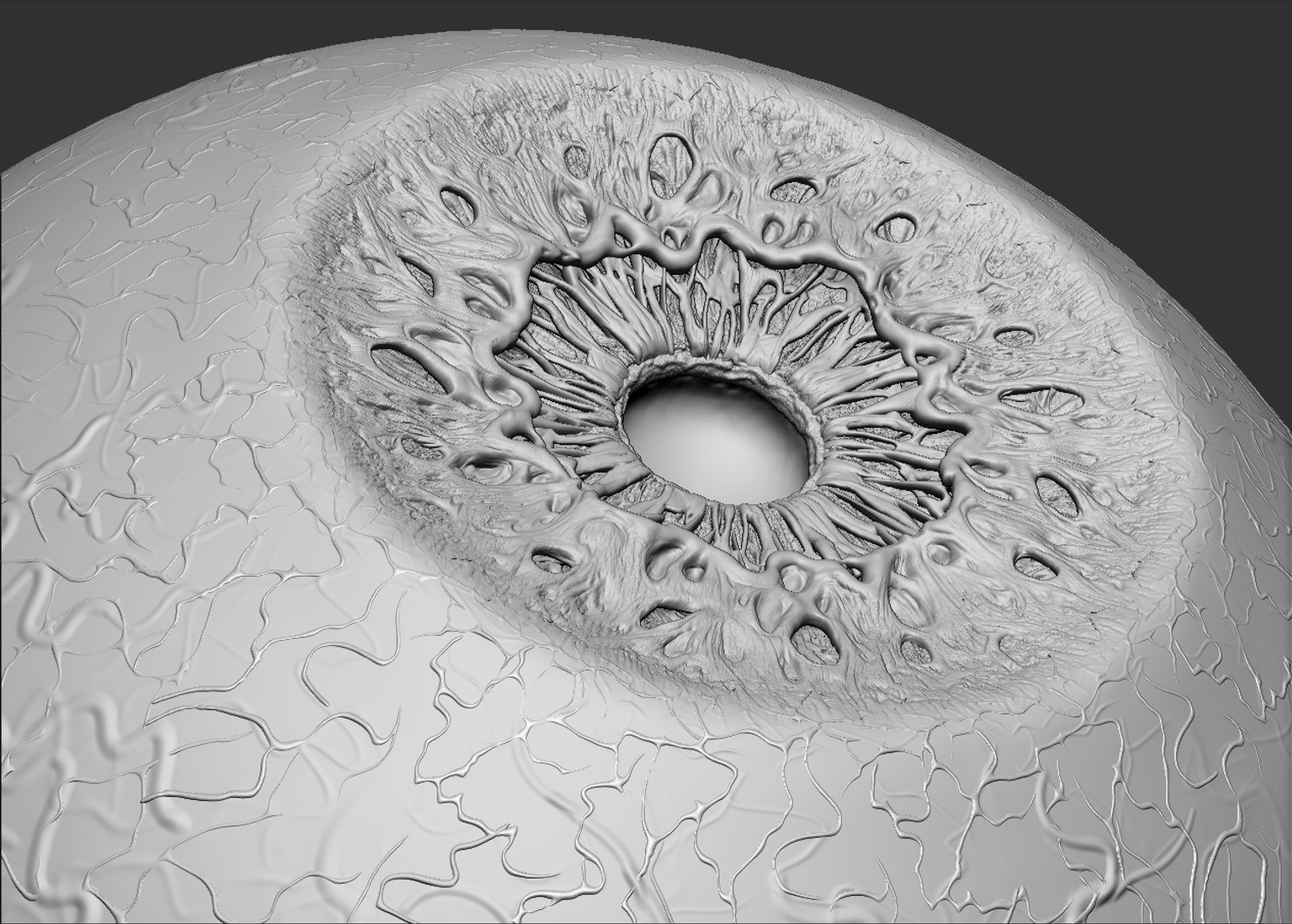 Project eye pupil 3D - TurboSquid 1395791