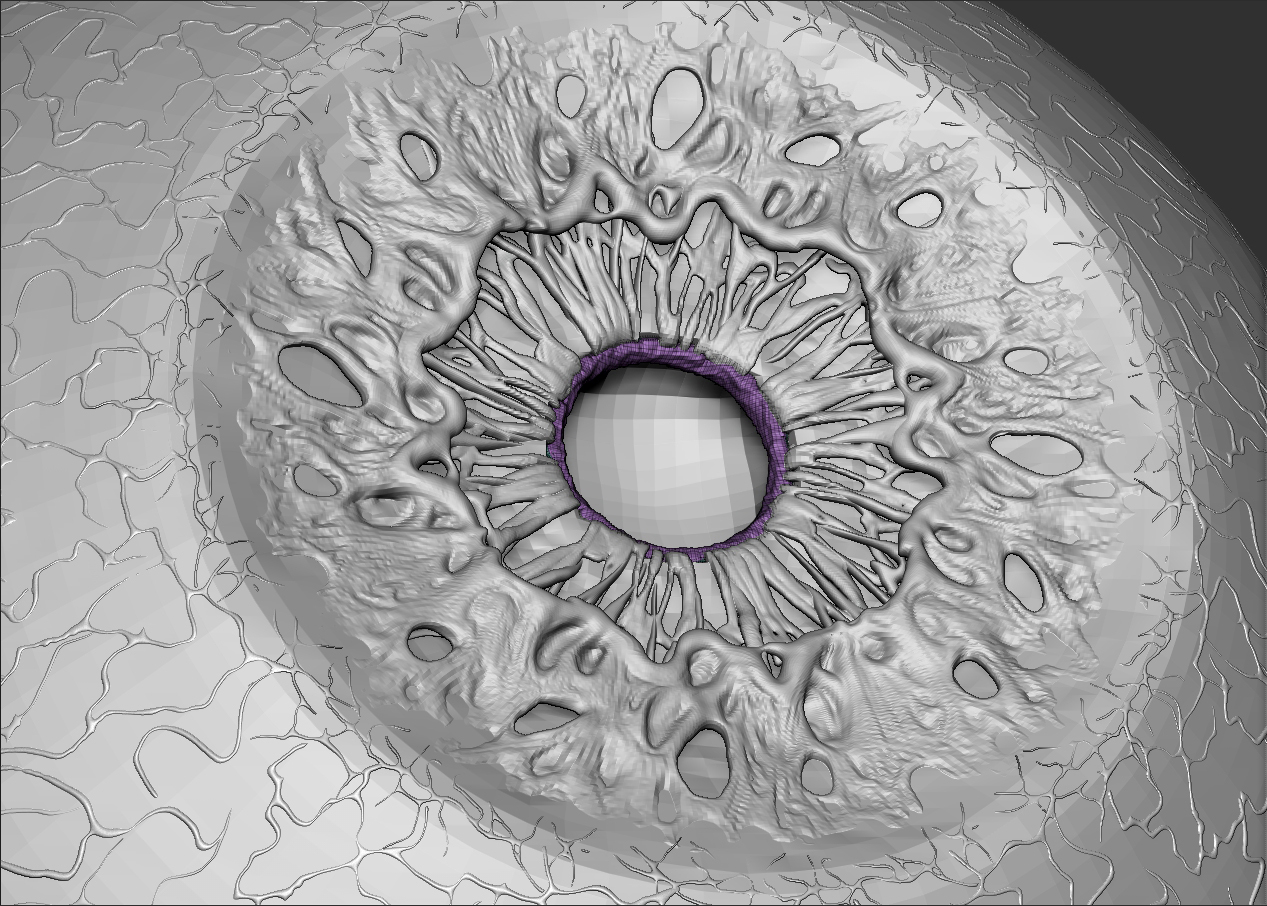 Project eye pupil 3D - TurboSquid 1395791