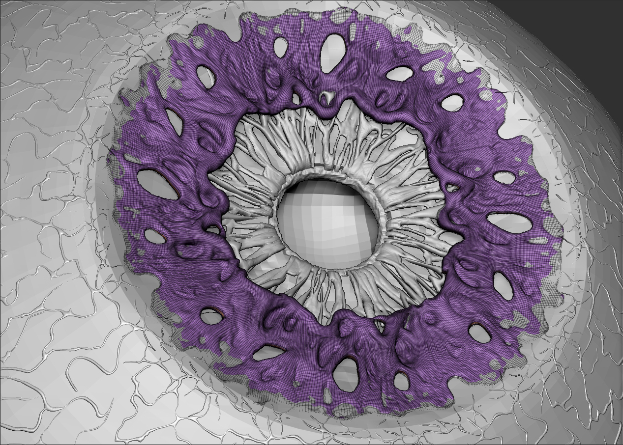 Project eye pupil 3D - TurboSquid 1395791