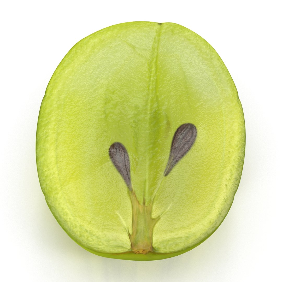 3ds max green grape cross section