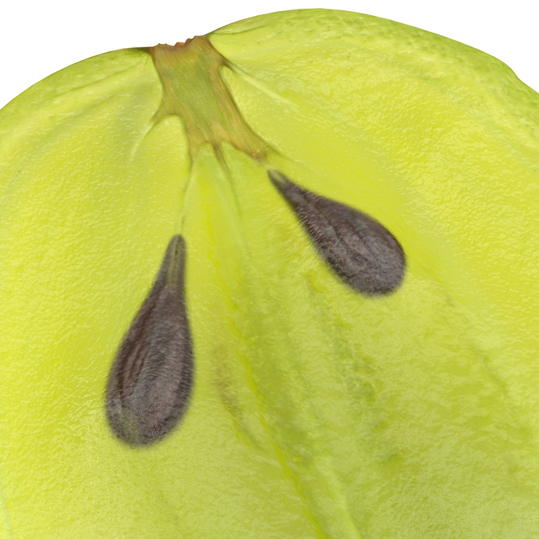 3ds max green grape cross section