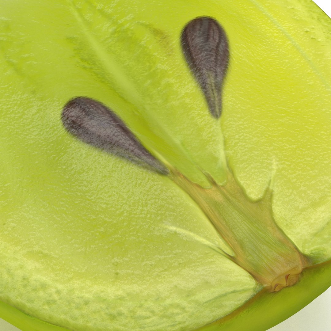 3ds max green grape cross section