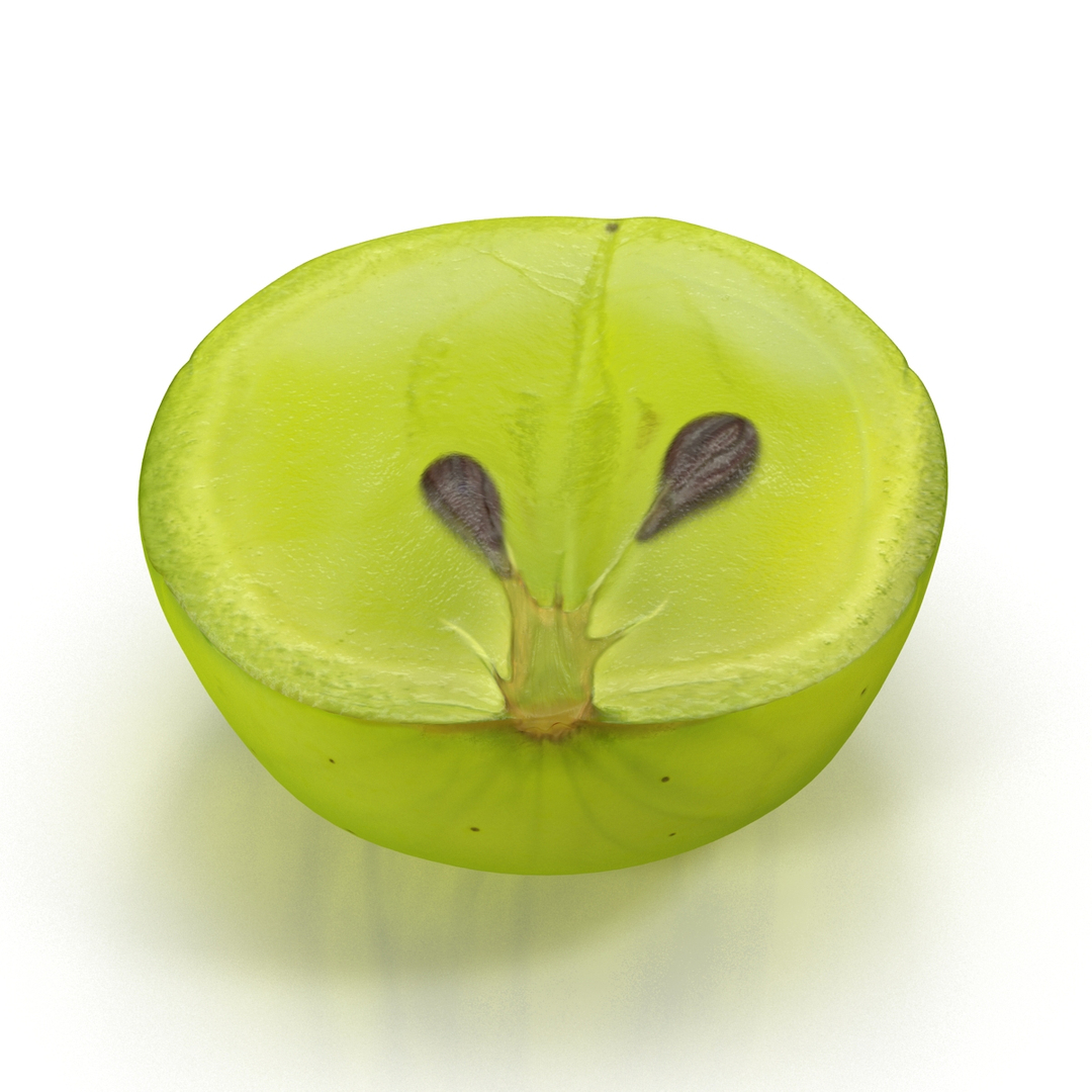 3ds max green grape cross section