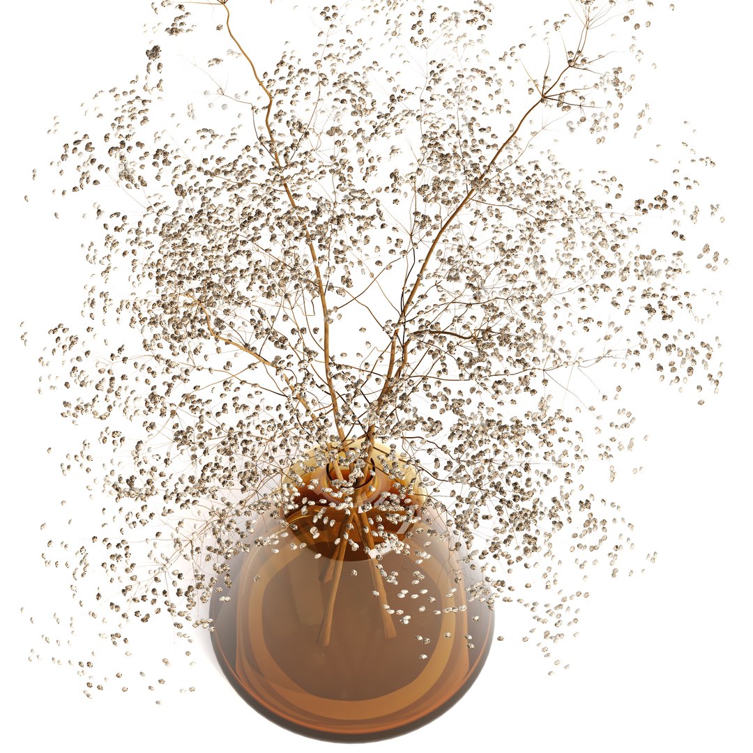 Dry Flowers 002 3D Model - TurboSquid 1866732