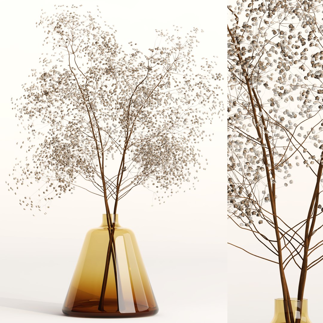Dry Flowers 002 3D Model - TurboSquid 1866732