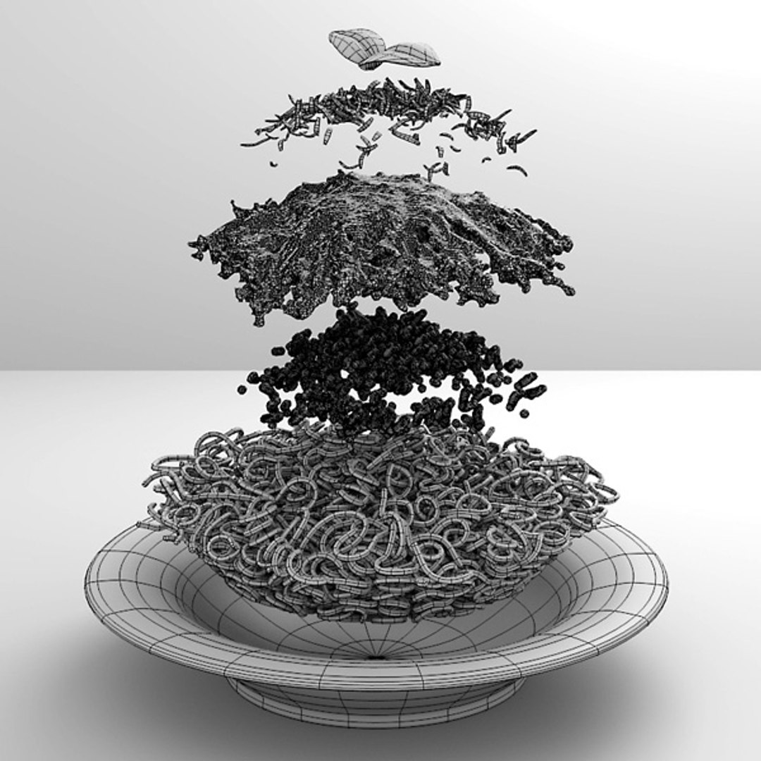 Spaghetti Plate 3d Obj