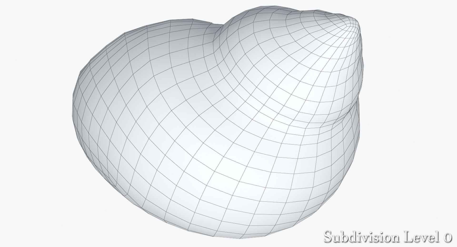 3d Model Of Snail Shell