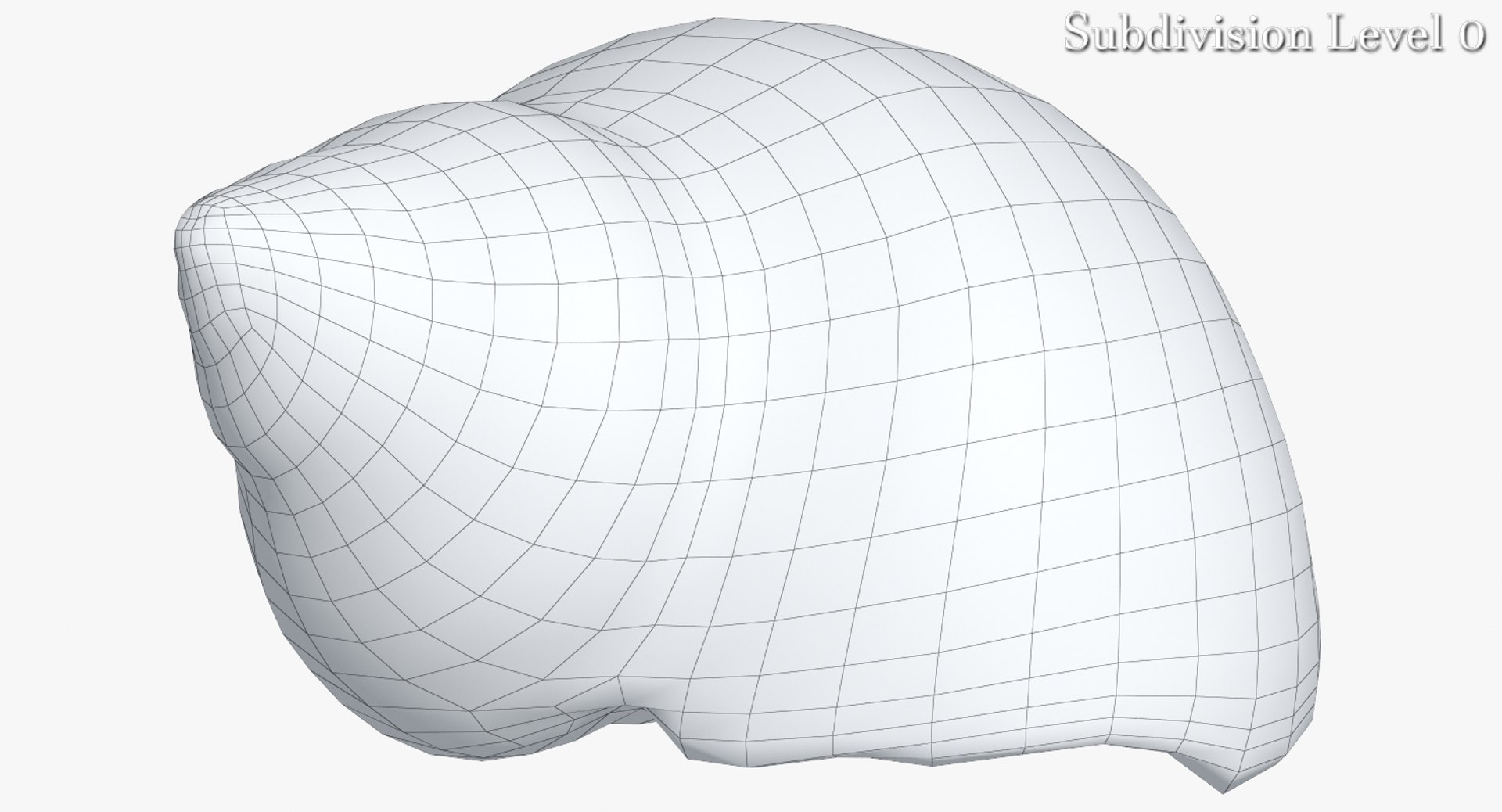 3d Model Of Snail Shell