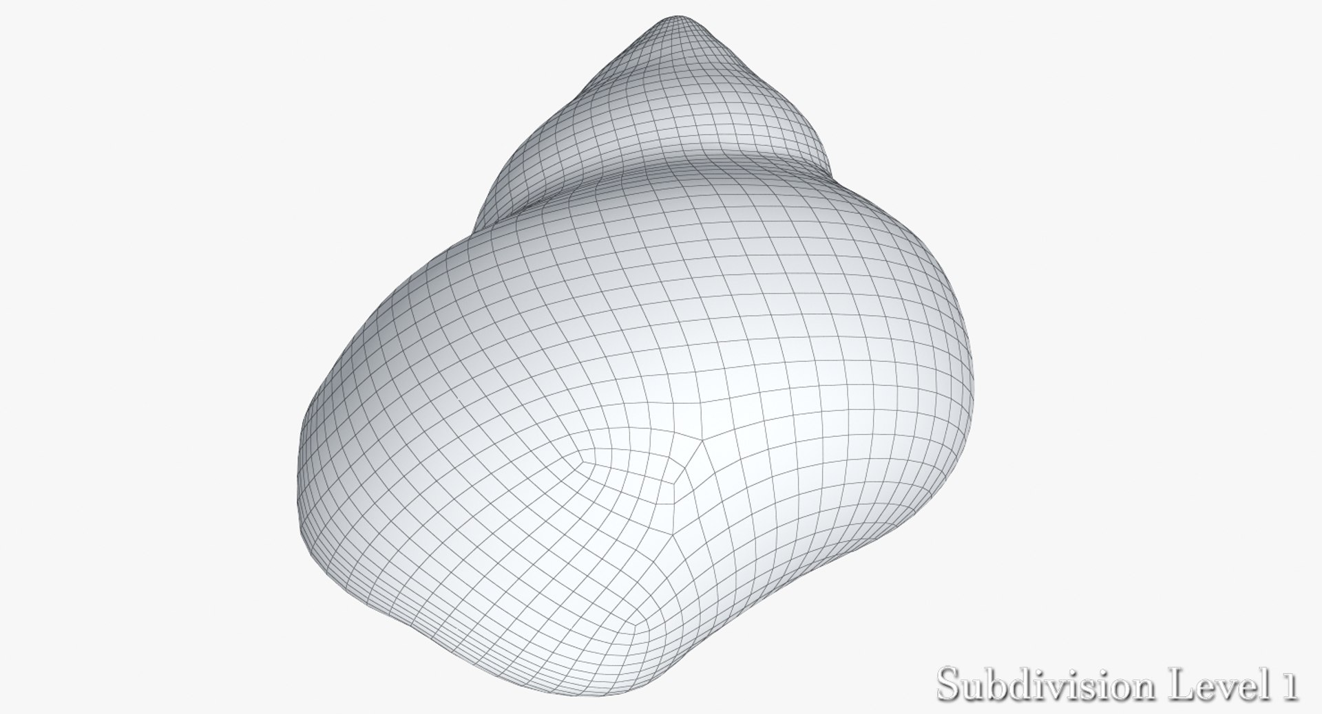 3d Model Of Snail Shell