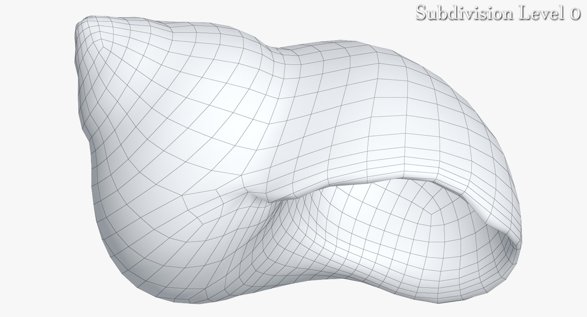 3d Model Of Snail Shell