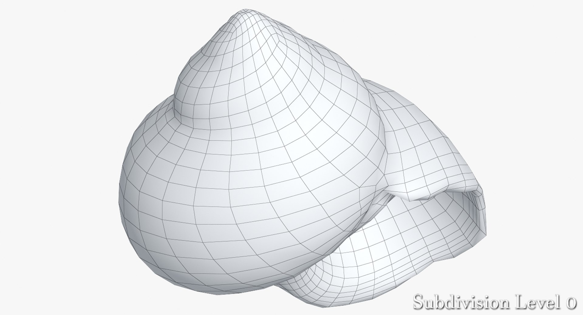 3d Model Of Snail Shell