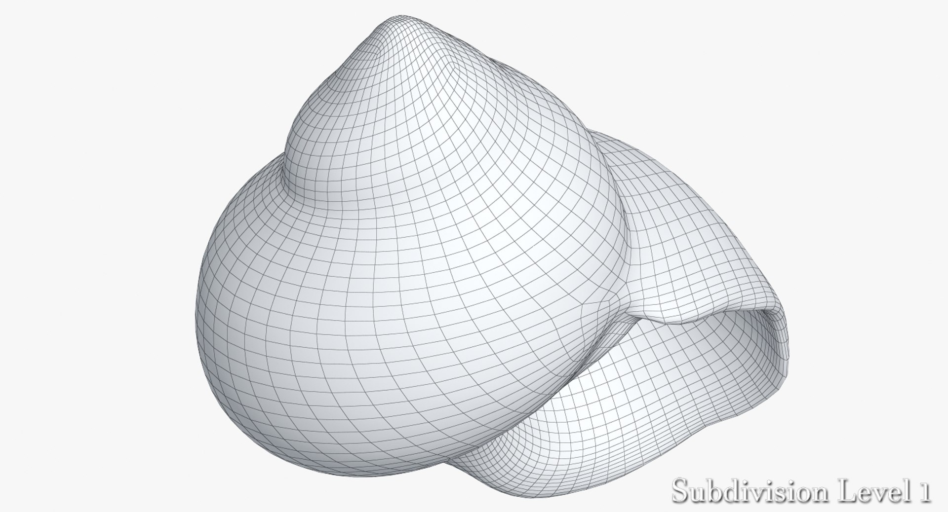 3d Model Of Snail Shell