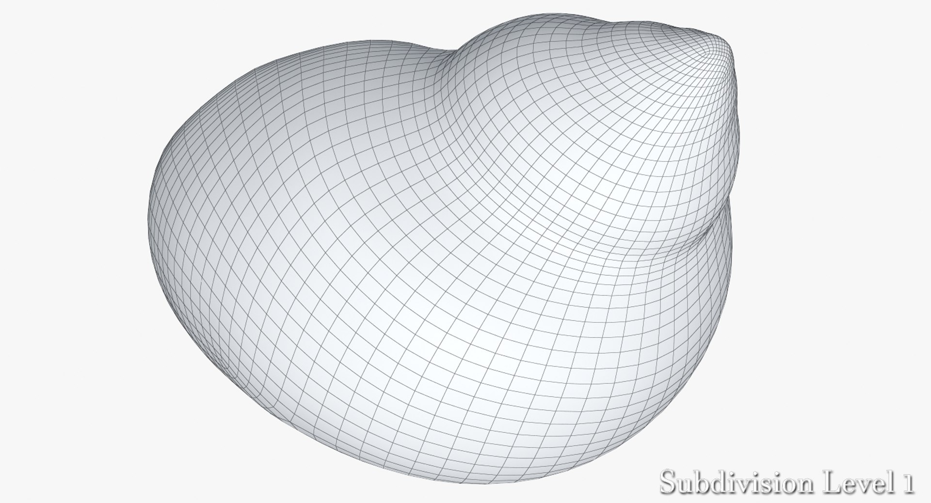 3d Model Of Snail Shell