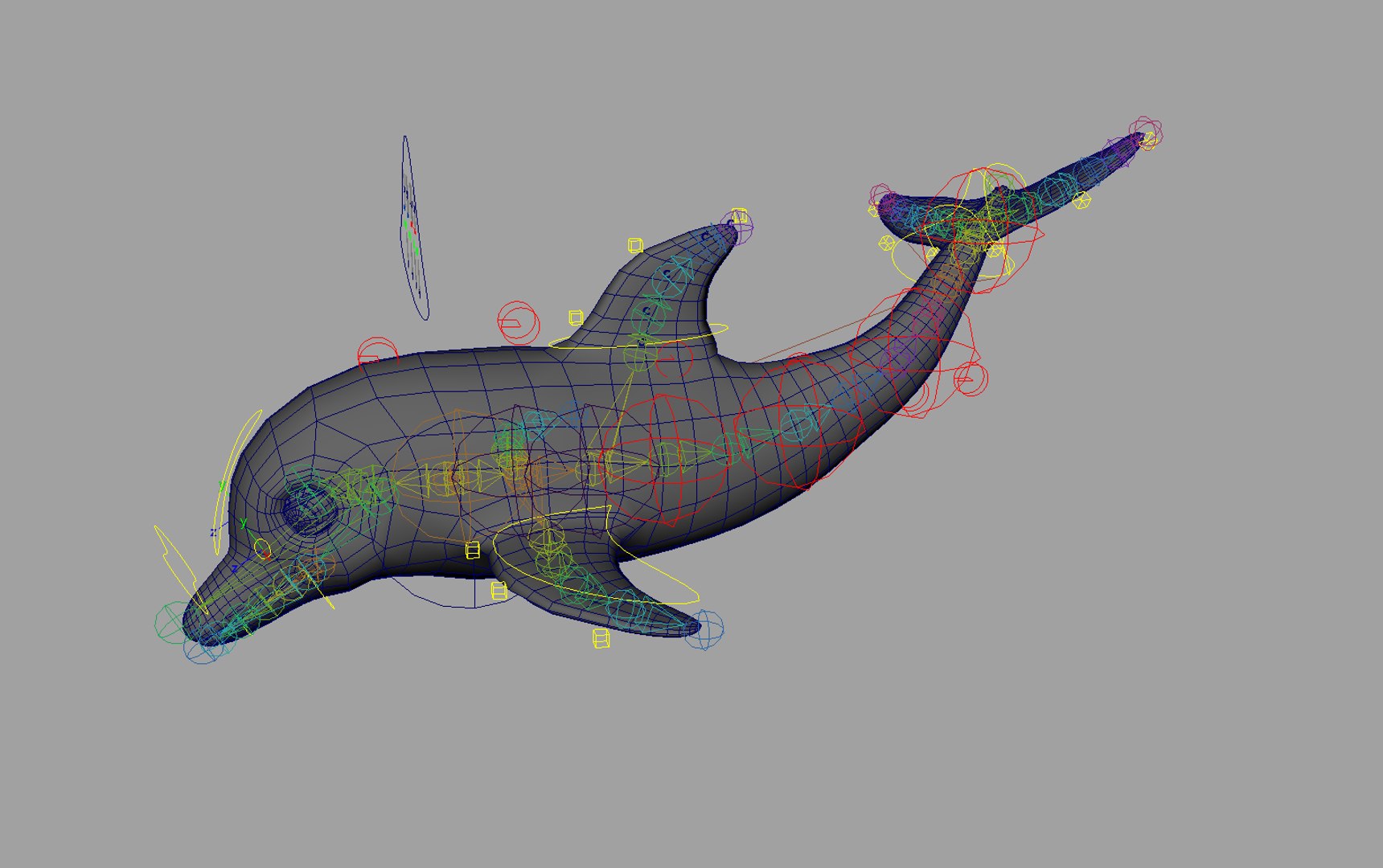 3D Rig Dolphin - TurboSquid 1396066