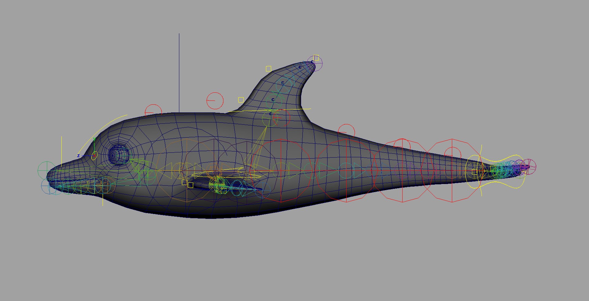 3D Rig Dolphin - TurboSquid 1396066