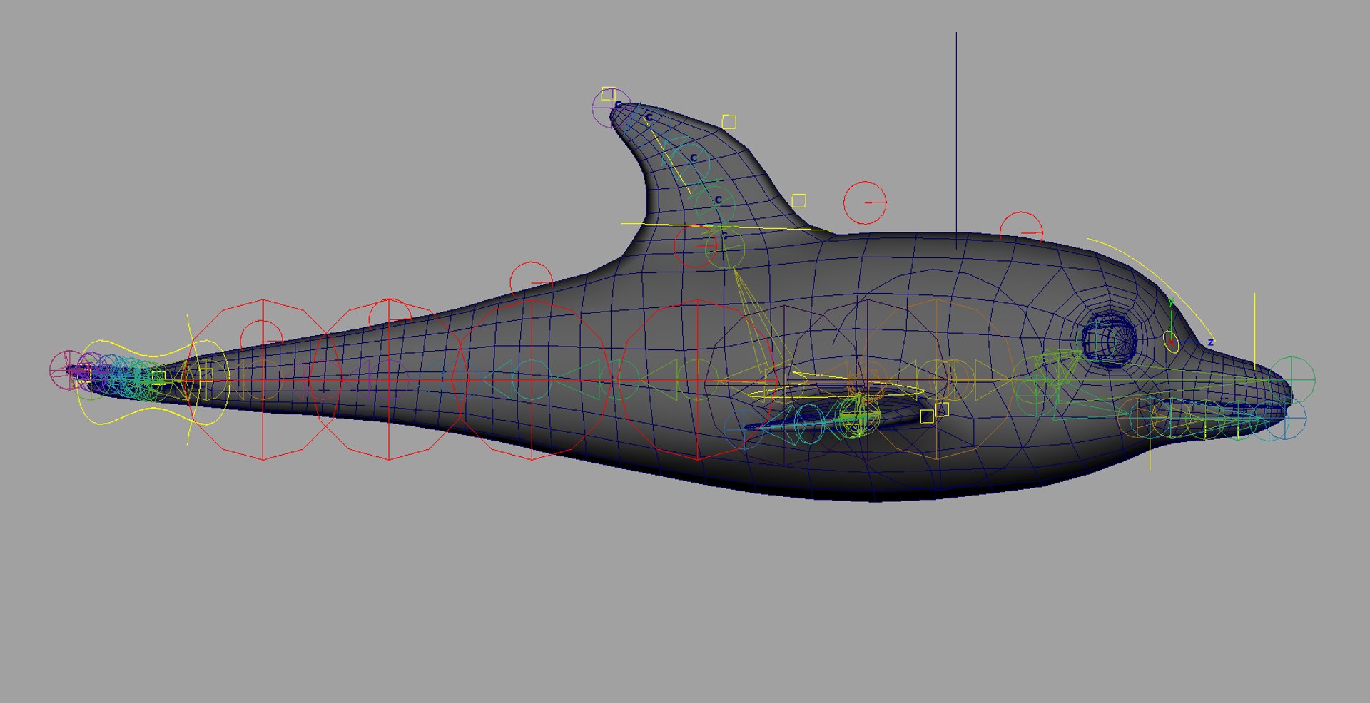 3D Rig Dolphin - TurboSquid 1396066