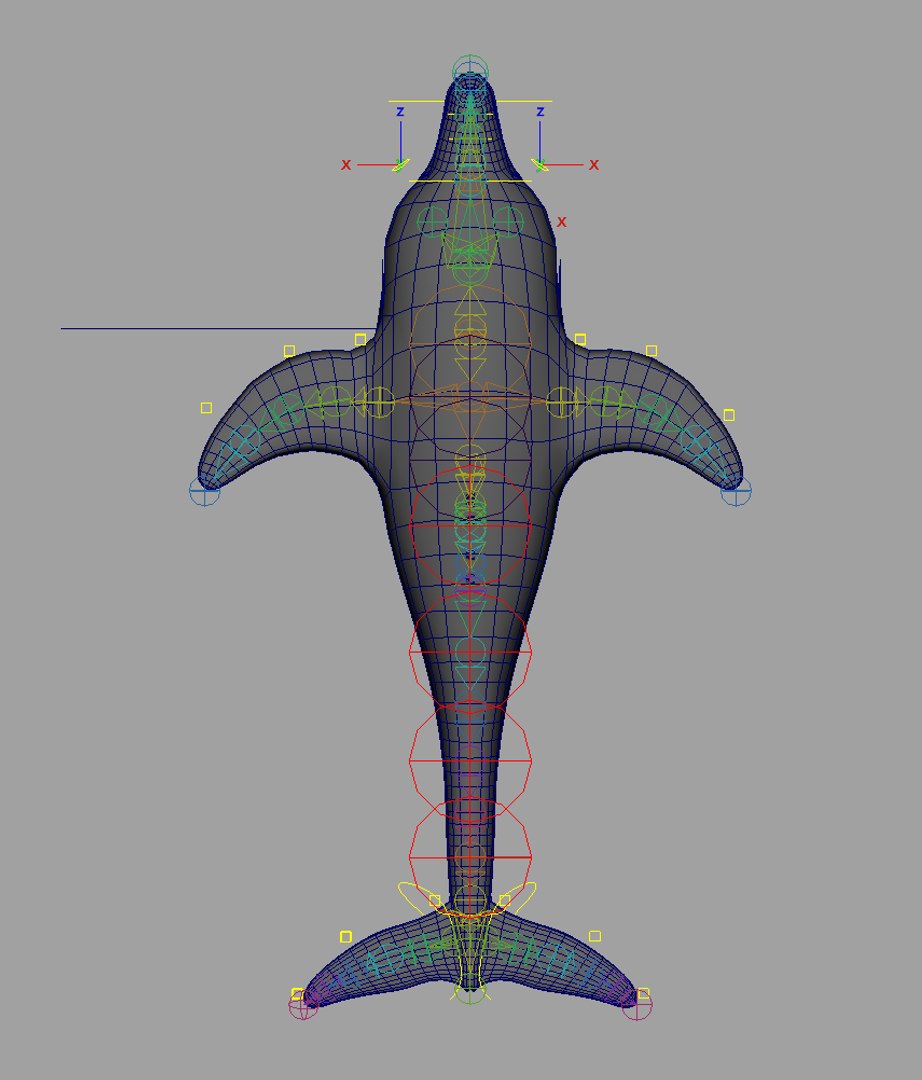 3D Rig Dolphin - TurboSquid 1396066