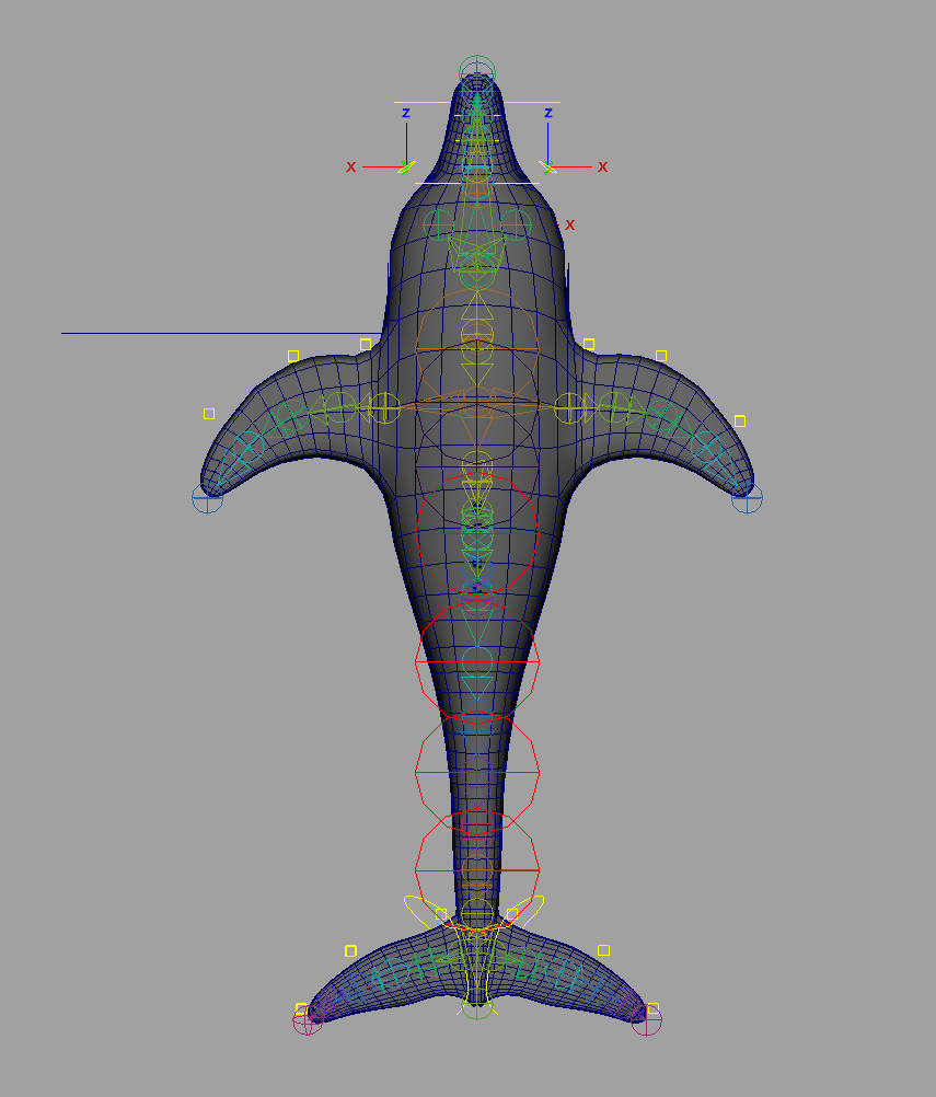 modelo 3d Rig Dolphin - TurboSquid 1396066