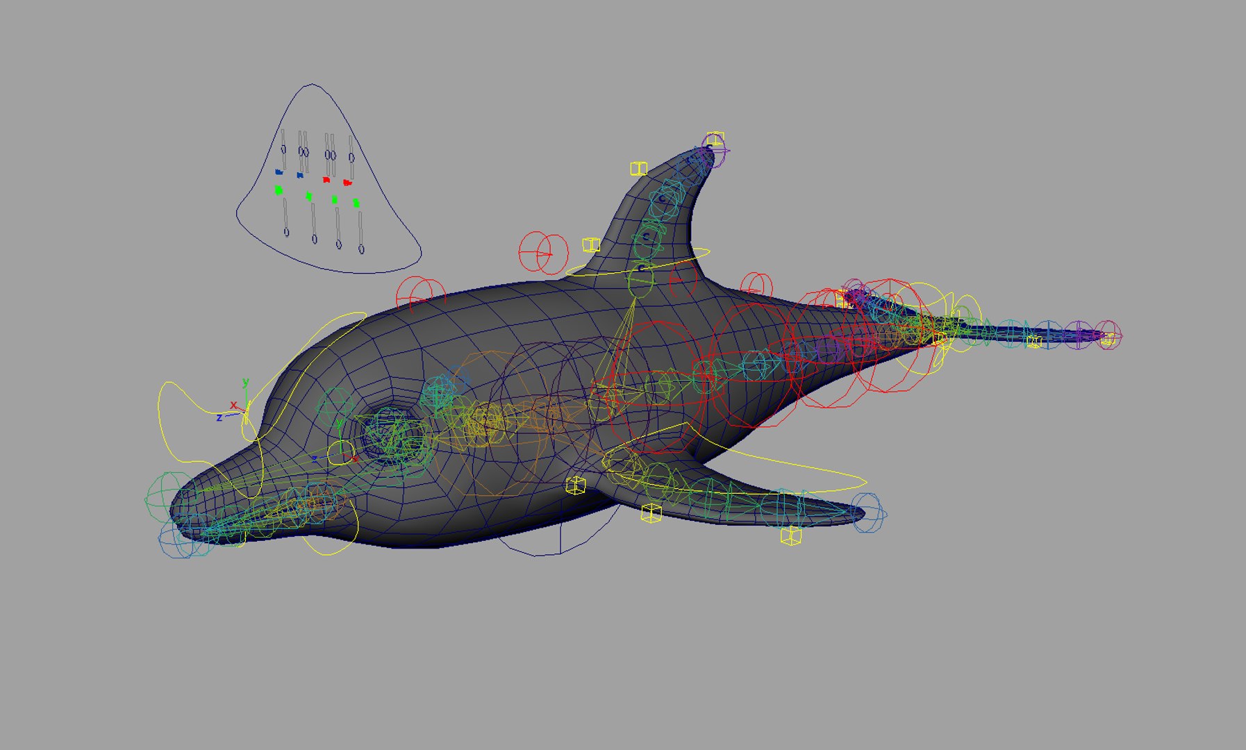 3D Rig Dolphin - TurboSquid 1396066