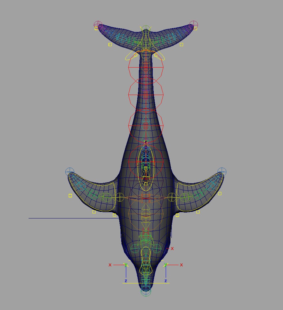 3D Rig Dolphin - TurboSquid 1396066