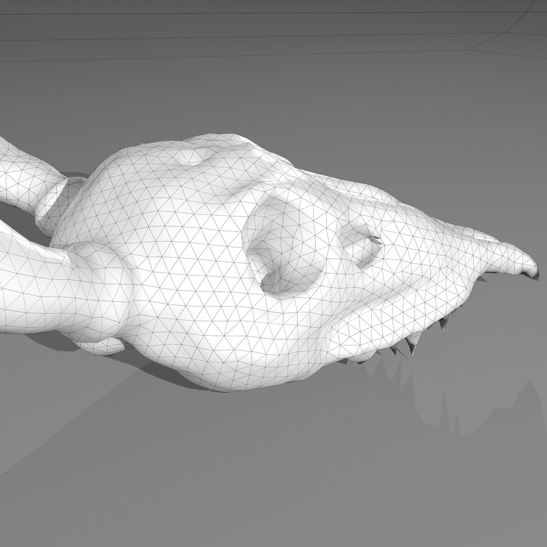 3D stag animal skull model - TurboSquid 1406586