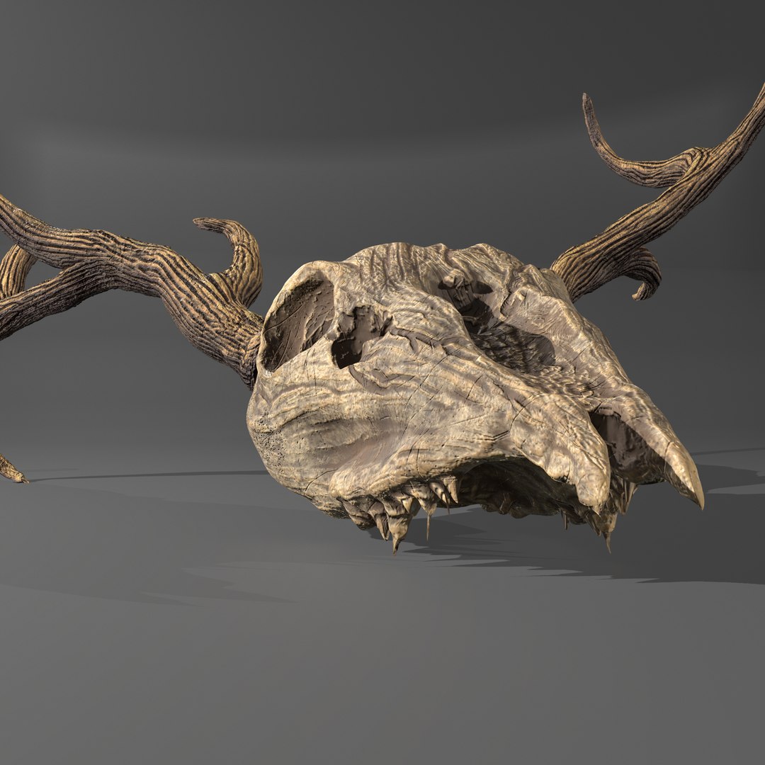 3D stag animal skull model - TurboSquid 1406586
