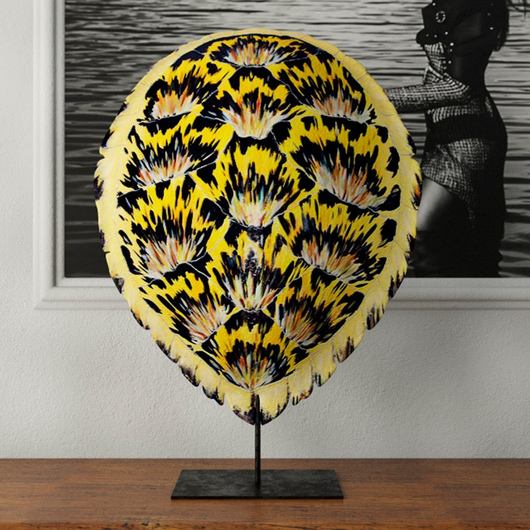 3D faux turtle shell sculpture - TurboSquid 1197543