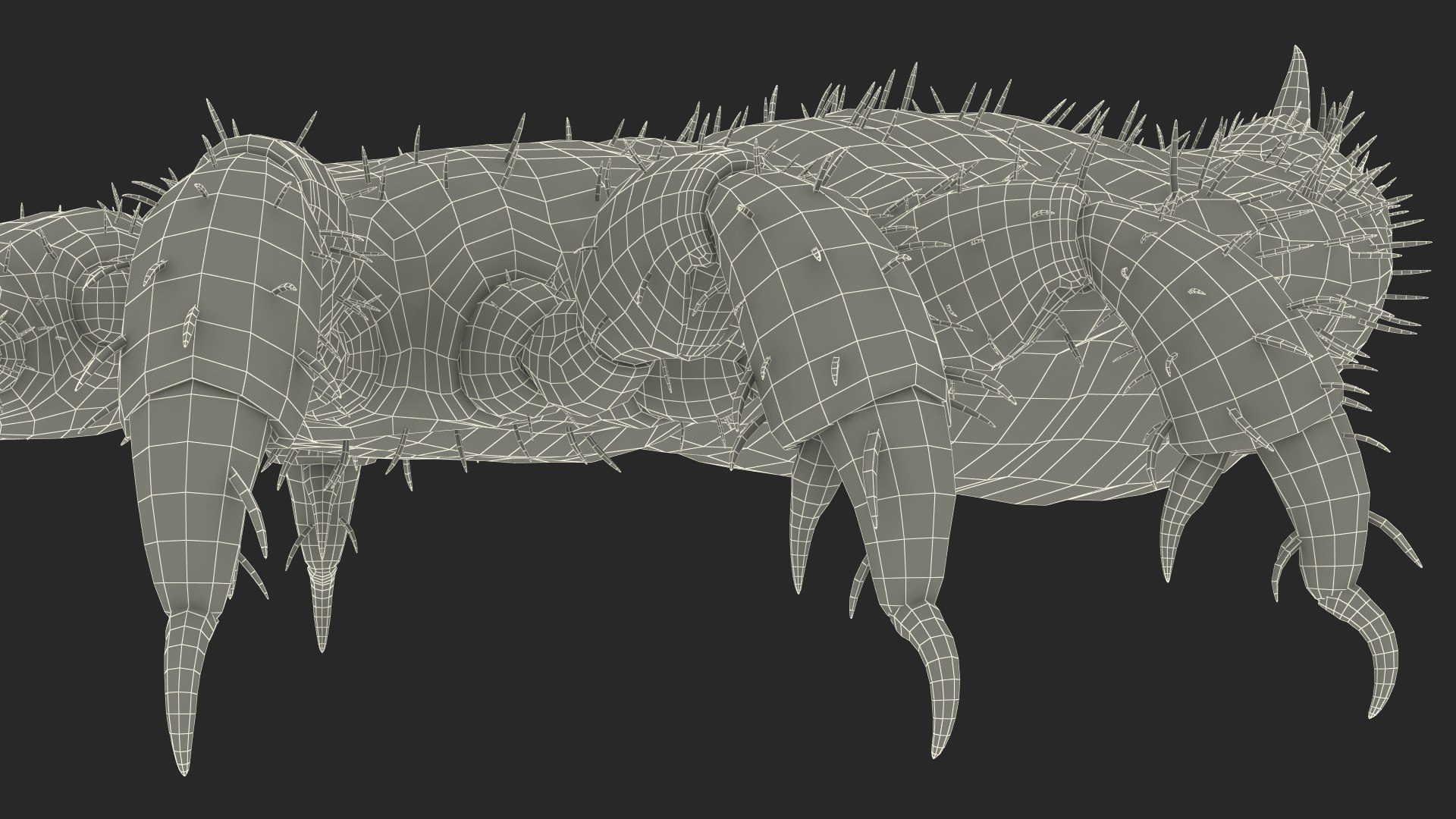 3D Biting Louse White Model - TurboSquid 2284273