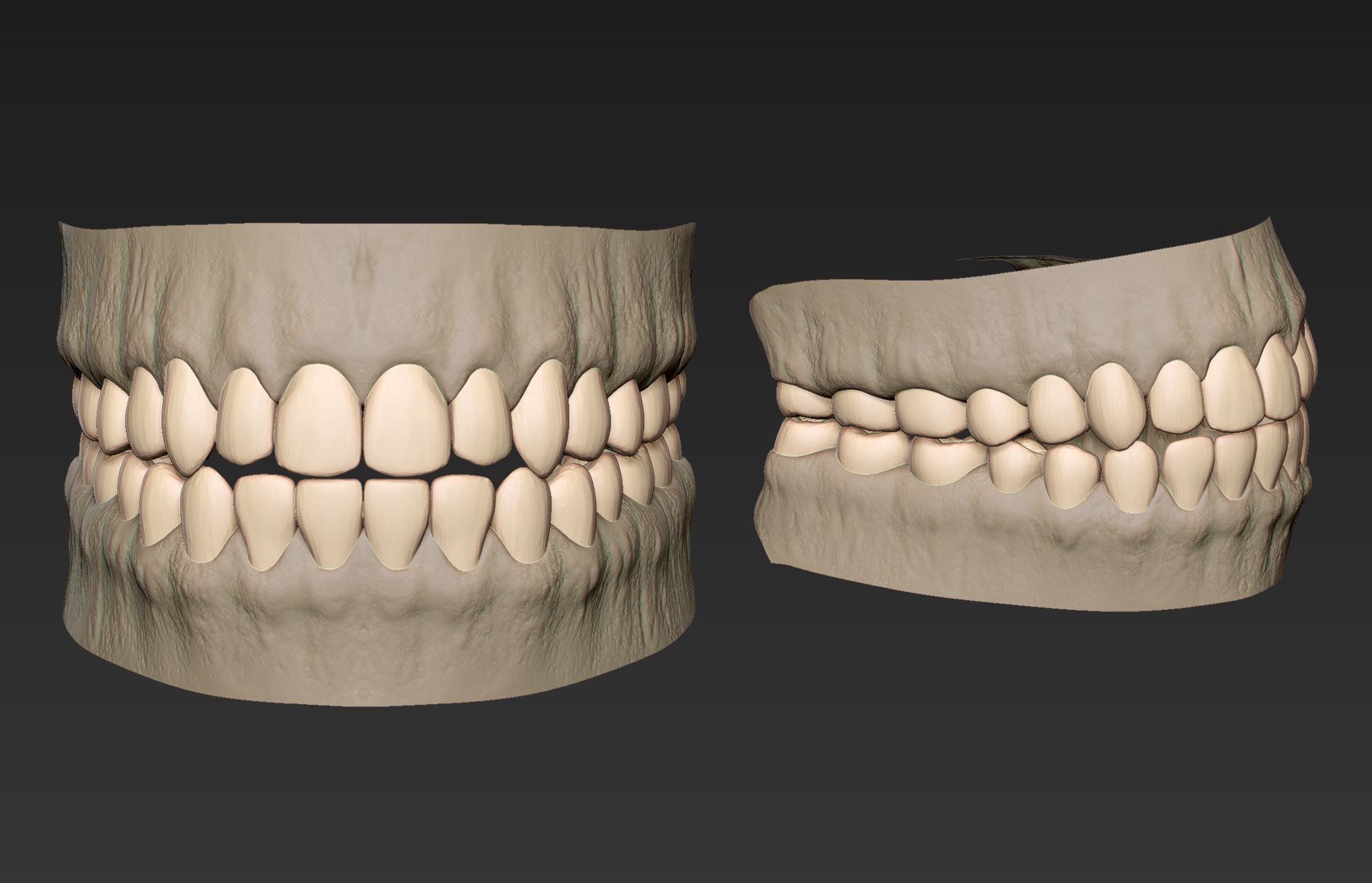 Teeth Model - TurboSquid 1736936