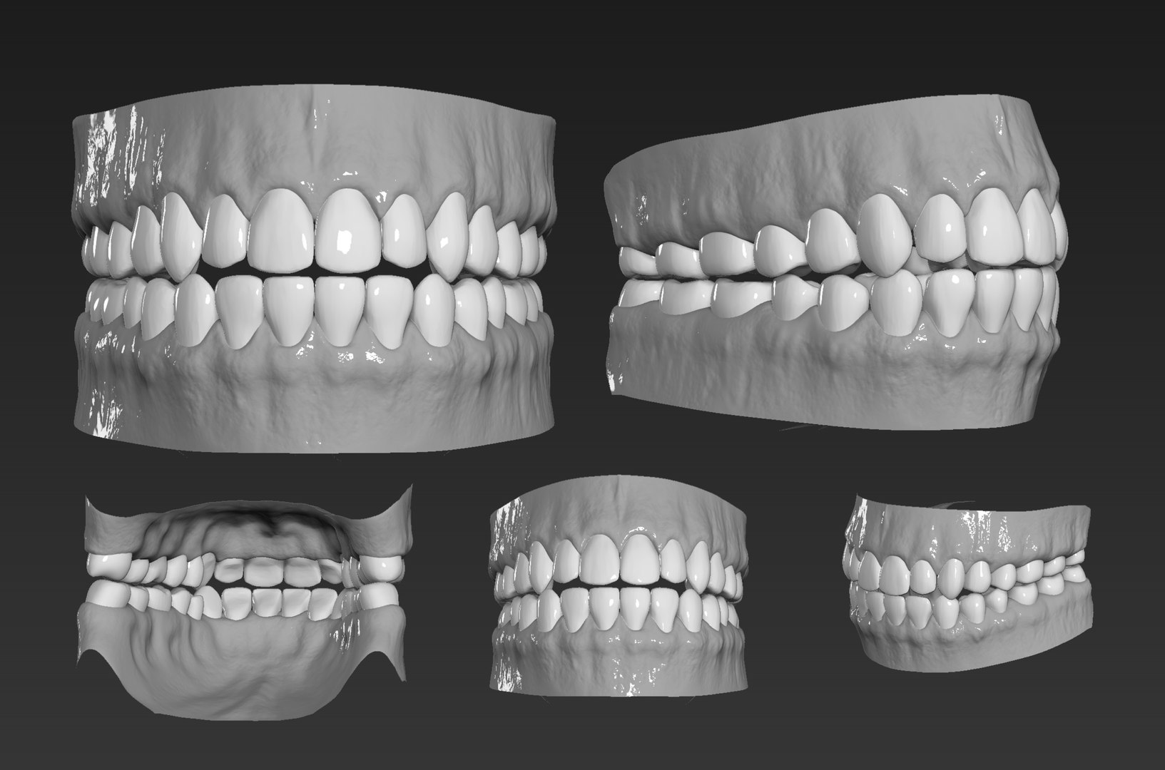Teeth Model - TurboSquid 1736936