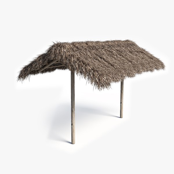 Palapa palm-roof Modelo 3D - TurboSquid 2032058