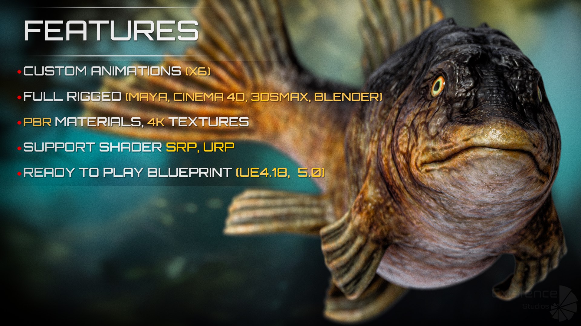 Fantasy Fish Pack 1 - Aqua Life - Underwater Creature - 35 3D Model ...