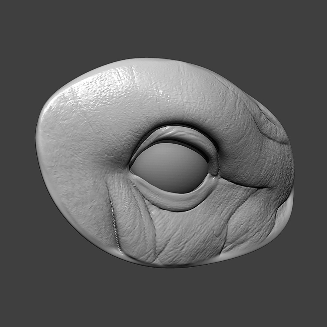 3D Rhino Eye Socket Highpoly Sculpt Model - TurboSquid 1806600