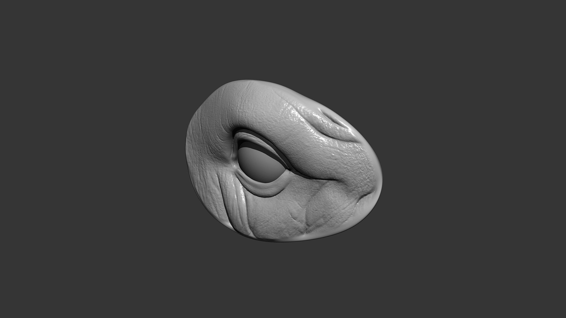 3D Rhino Eye Socket Highpoly Sculpt Model - TurboSquid 1806600