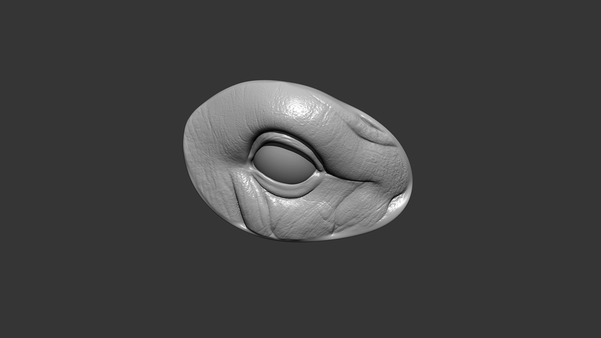 3D Rhino Eye Socket Highpoly Sculpt Model - TurboSquid 1806600